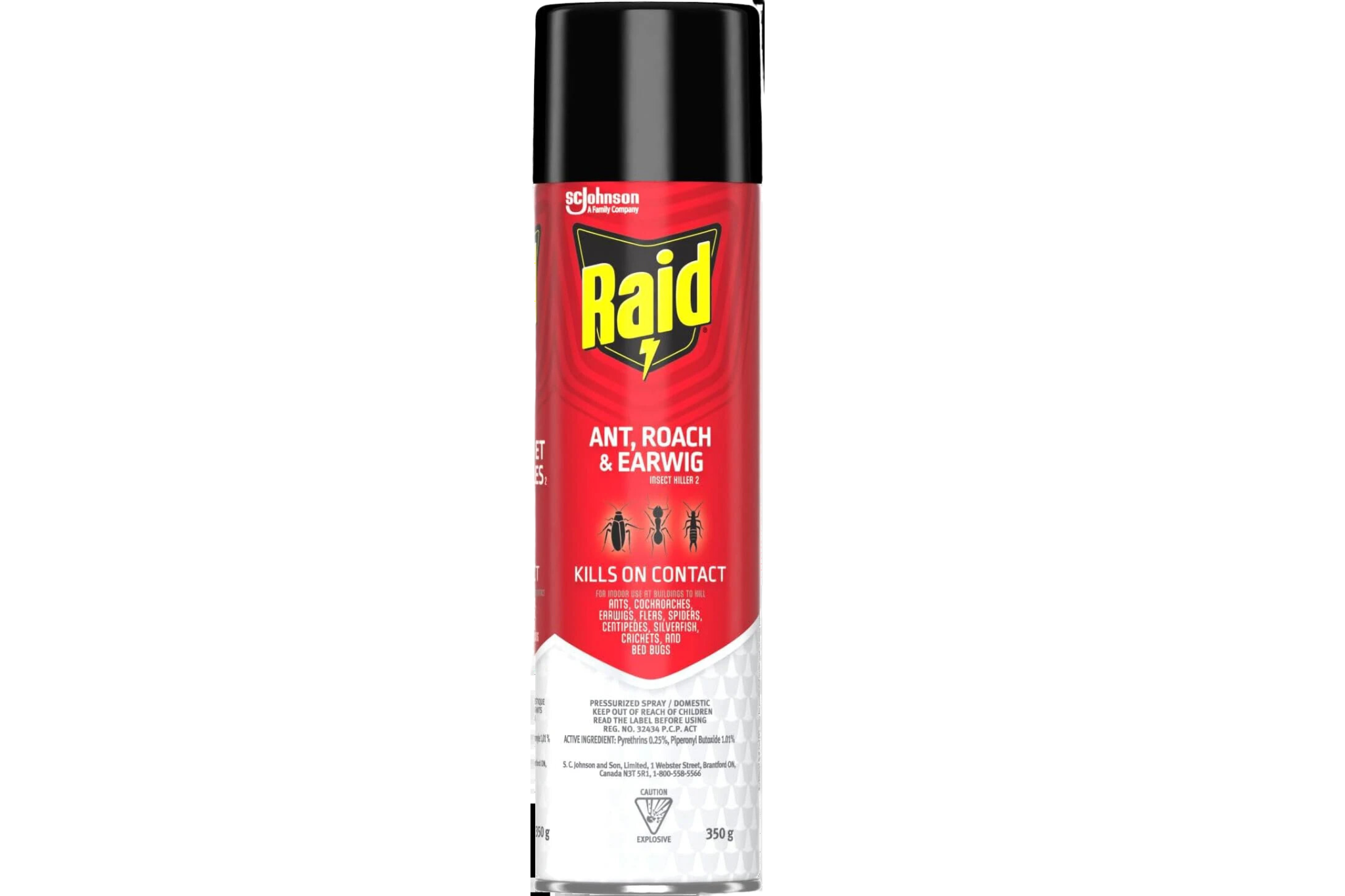 Raid AntRoach Spray 350g